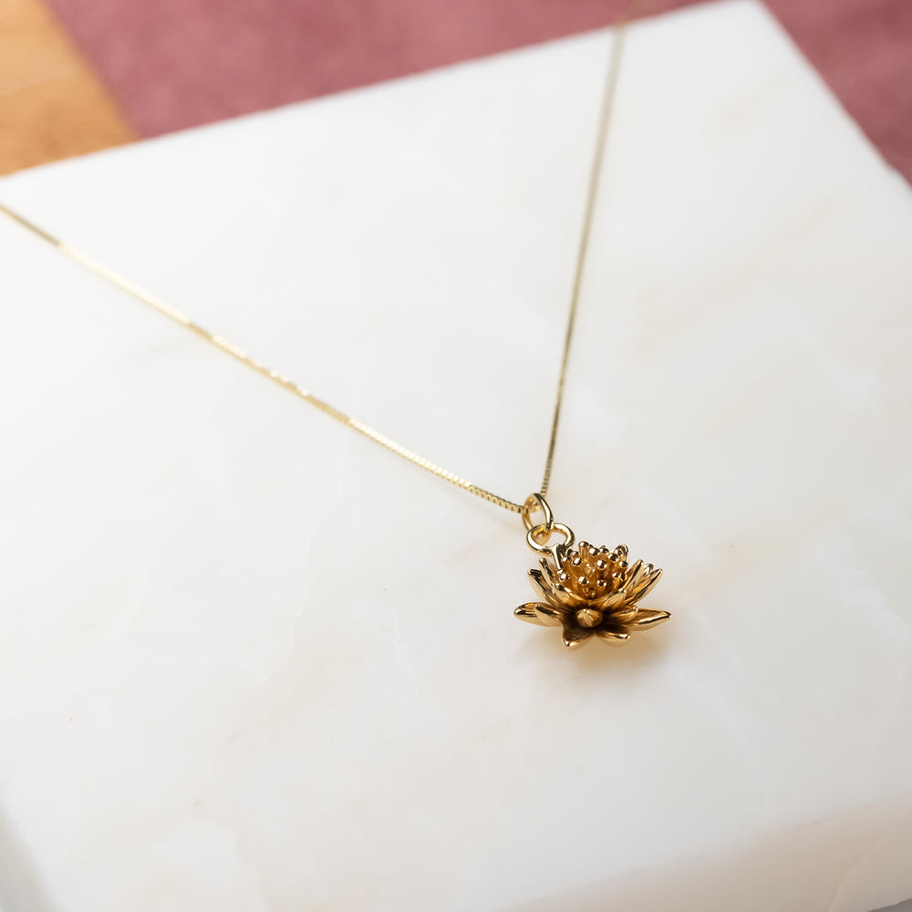 Azendi Online Jewellery Official Shop 2023